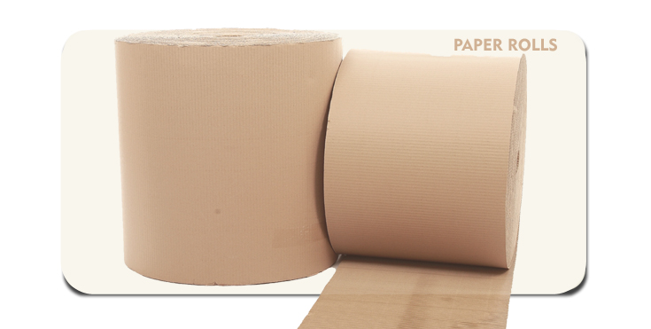 SLN PACKAGING: Corrugated Box And Paper Rolls