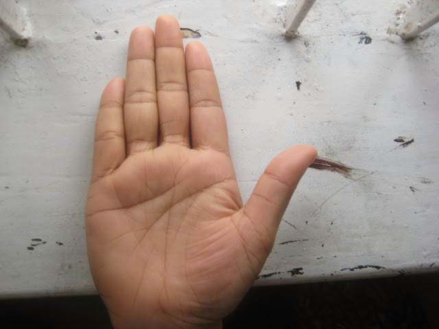 Fate Line Starts From Lifeline Palmistry ~ INDIAN PALM READING | HAST ...