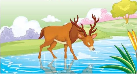 The Stag and His Reflection Story - Moral Stories For Children