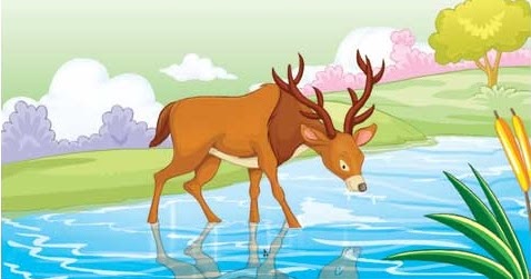 The Stag and His Reflection Story - Moral Stories For Children
