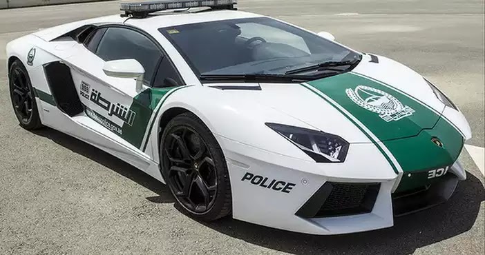 RareGossip: Top 10 Most Expensive Police Cars in the World.