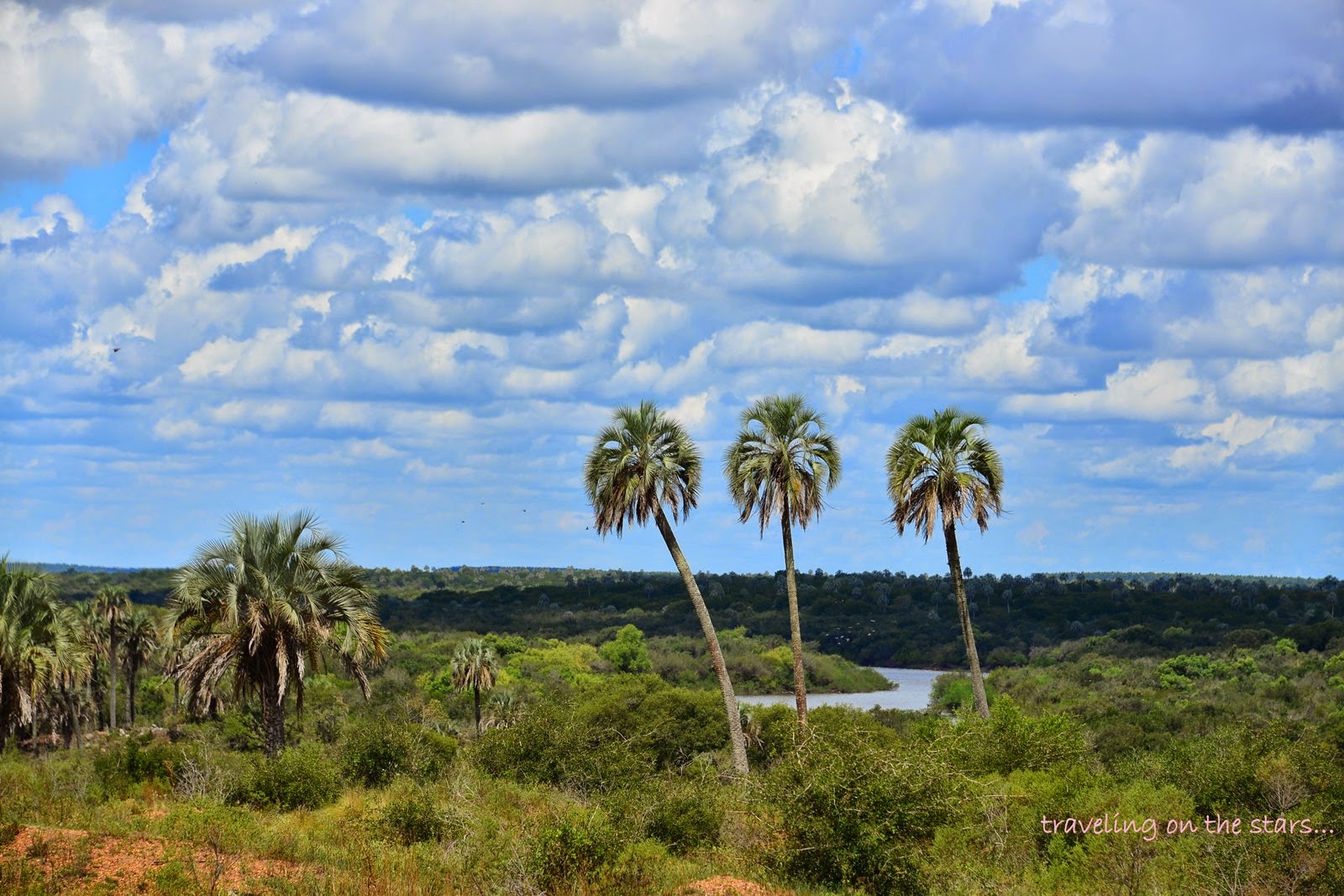 traveling on the stars...: Parque Nacional El Palmar (Entre Ríos ...
