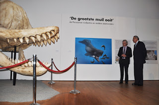 El Pensieve de Dinorider: Livyatan Vs Kentriodon - 'De grootste beet ...