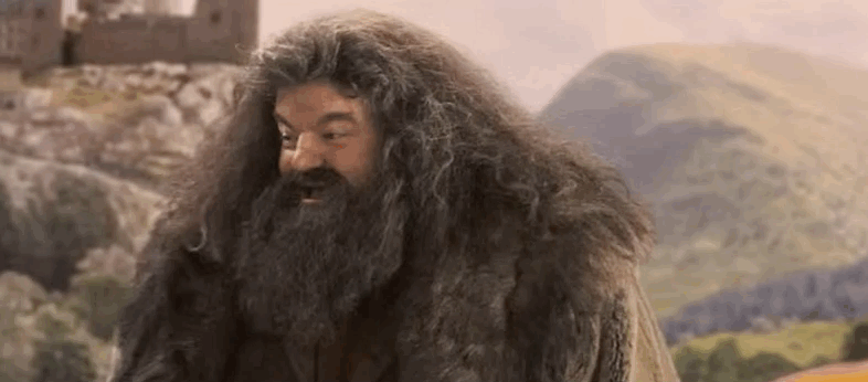 Wizarding World: Rubeus Hagrid