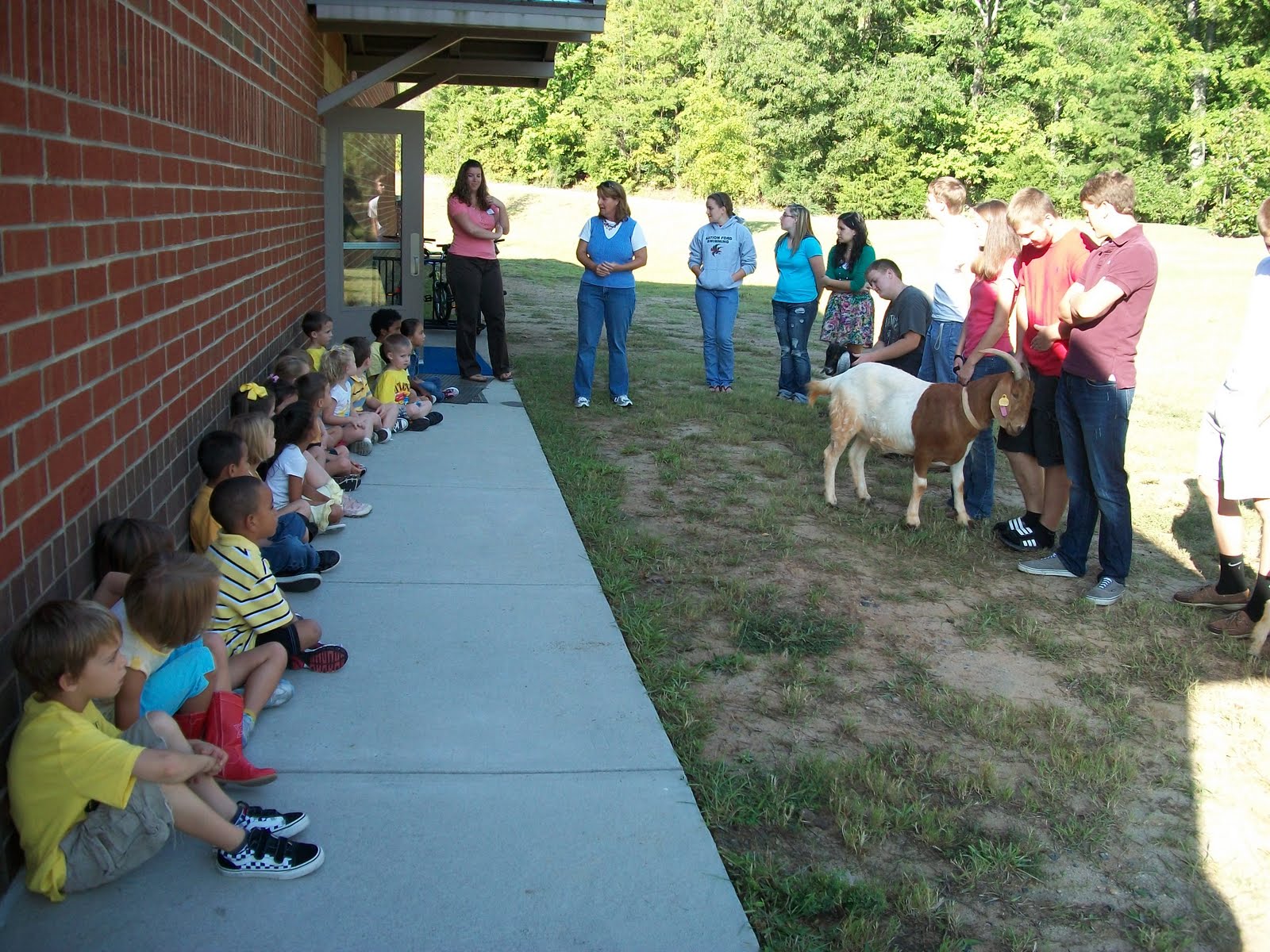 Keeping Up with the Kindergartners: Will goats eat ANYTHING??