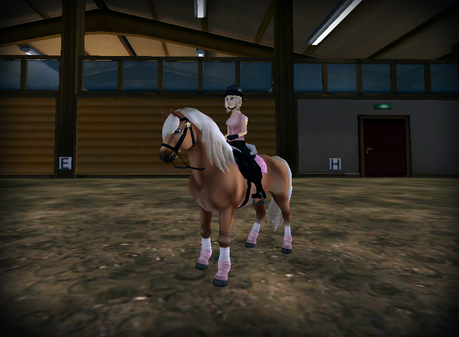 SSO - Luna Catsea: Moje konie