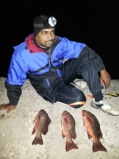 lets go fishing: TAMOSHI BABA