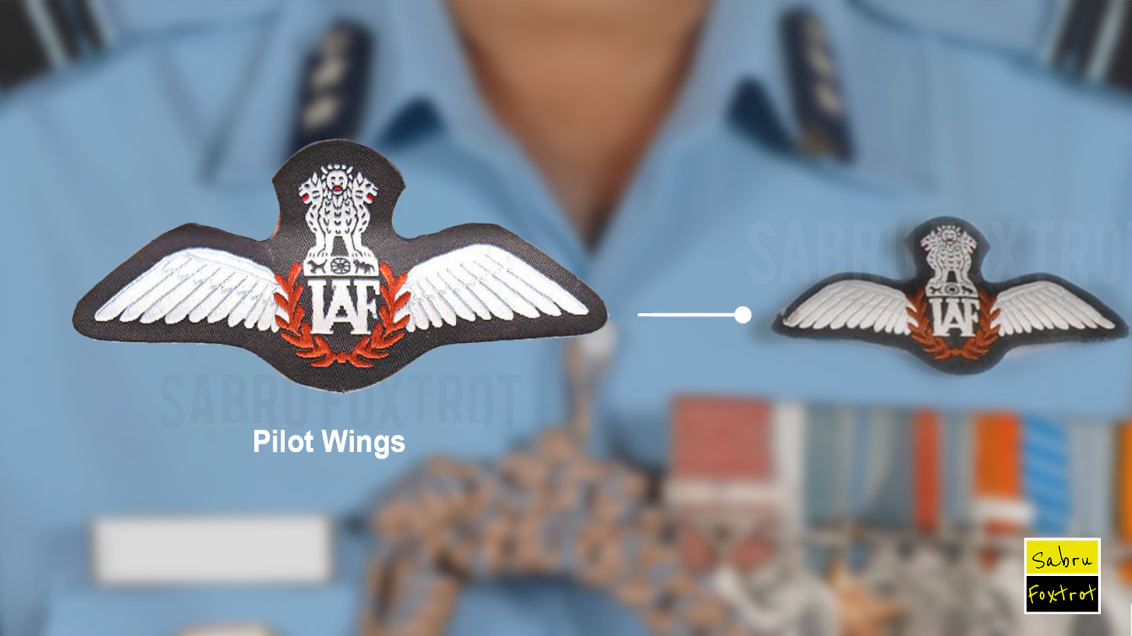 Indian Air Force Wings