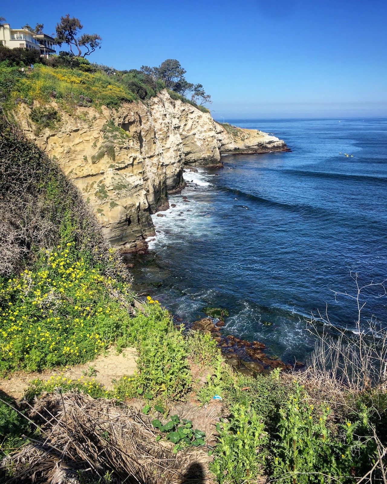 Carlee McDot: #Ragnar4Rett Ultra Ragnar Relay Race Recap