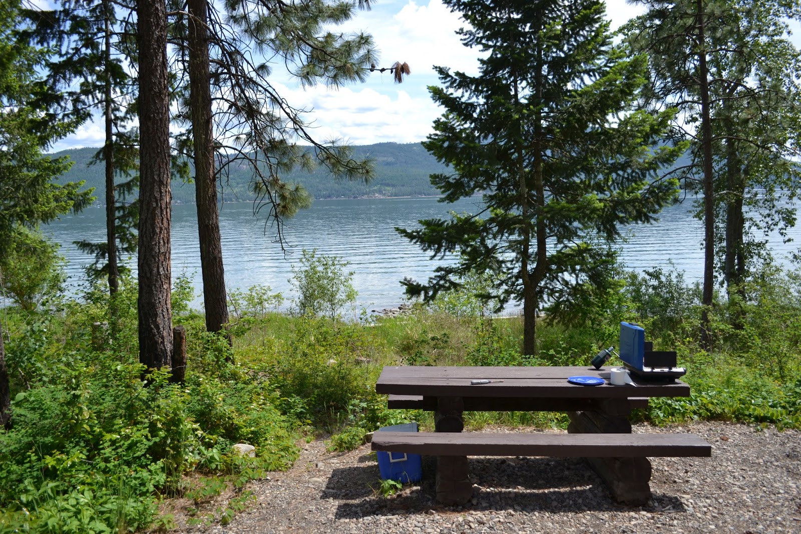 Fawn in BC: Family Camping at Evely Recreation Site