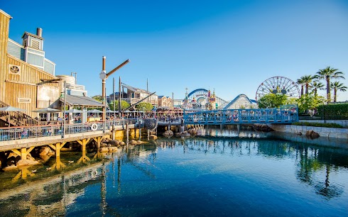 Disney Photoblography