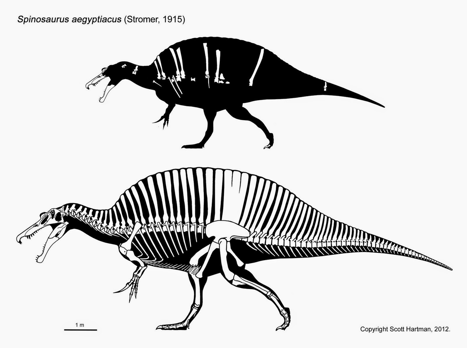 Mundo Terópodo: El Espinosaurio a Través de la Historia