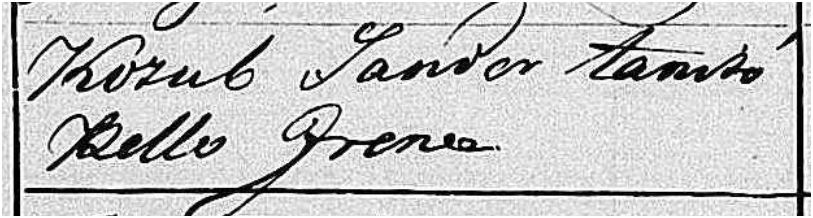 Dorothy Kozub's Ancestor Puzzle: March 2013