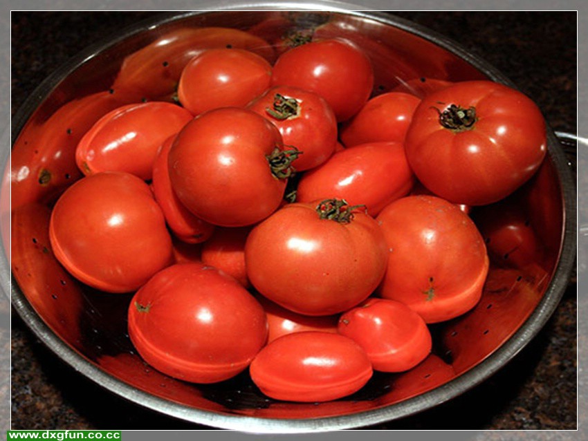 The X Generation Fun: Life in real red color