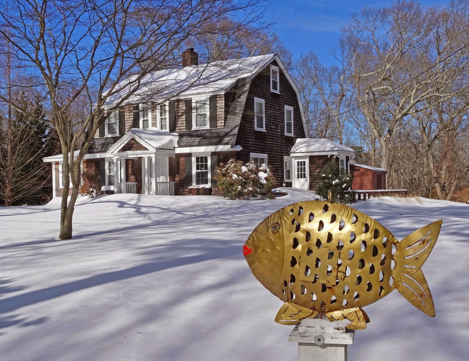 Joe's Retirement Blog: Winter Wonderland, Manomet, Plymouth ...