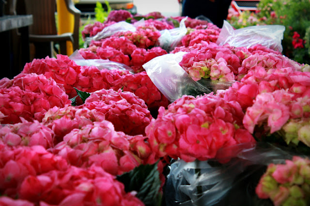 Tierra Verde Handmade Soaps: A Field Trip To The North Carolina State ...