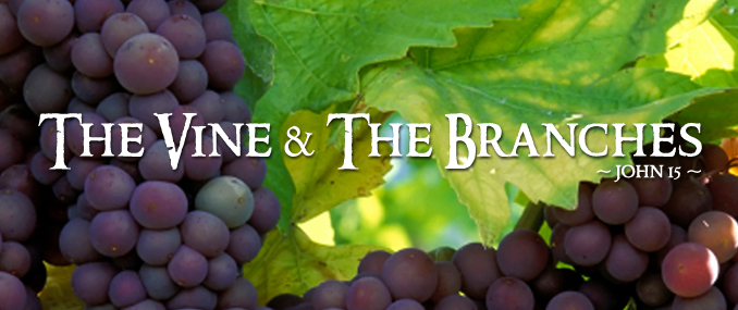 Waiting At The Window: The Vine and the Branch - Lesson #1