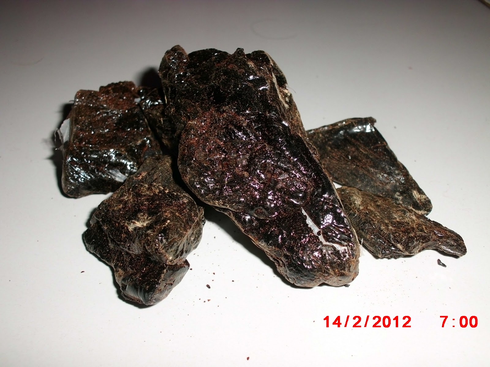 GETAH GAHARU HITAM: GETAH GAHARU DIJUAL