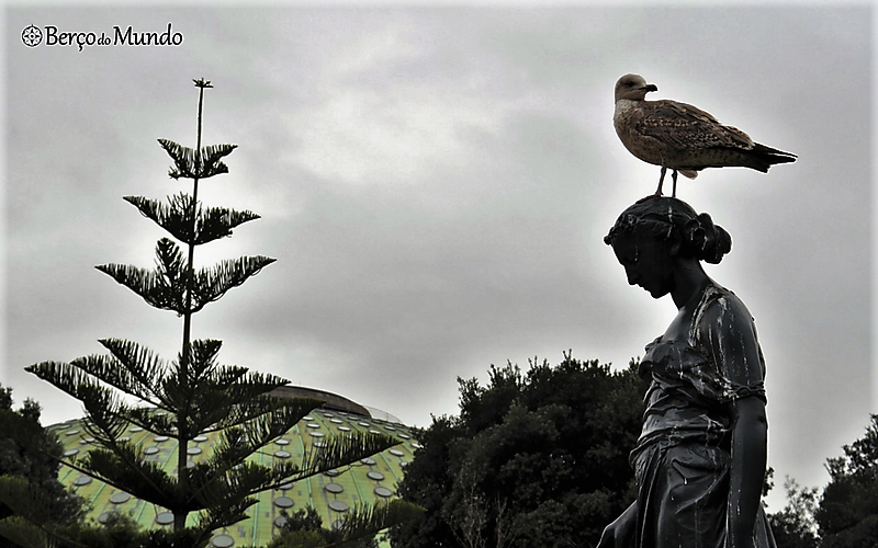 Porto: roteiro clássico (dia 2 e 3) - O Berço do Mundo