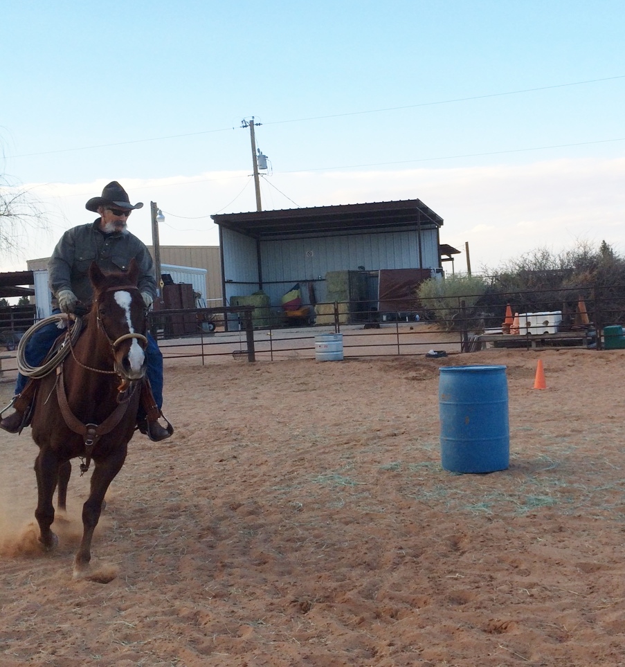 Functional Horsemanship: Riding Better Circles