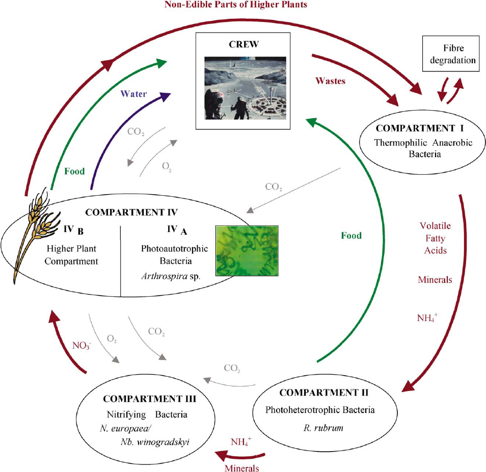 Agricultural Systems