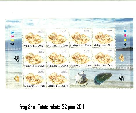 ButterflyPostcardAndStamp: Sea Shells on the Sea Shore and on stamps
