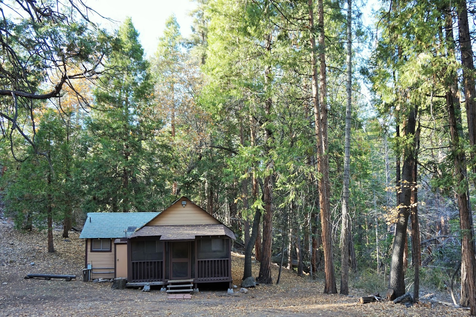 Camp Alandale News: March 2016