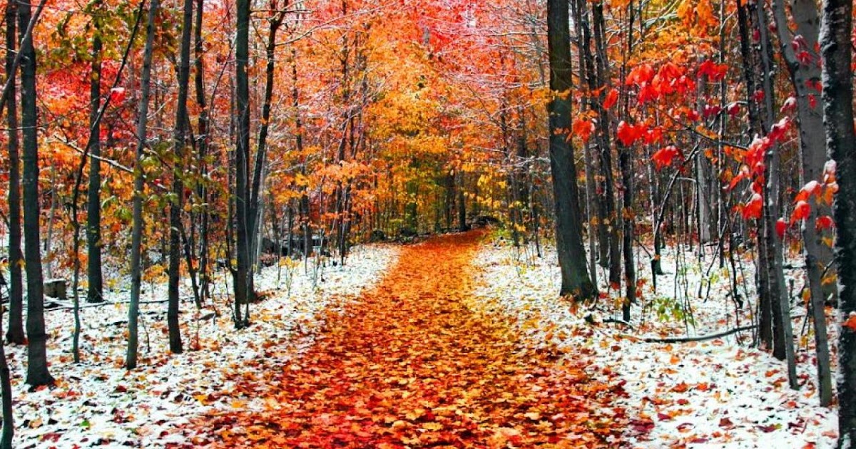 VROOMANS QUILTS: Whispering Away November