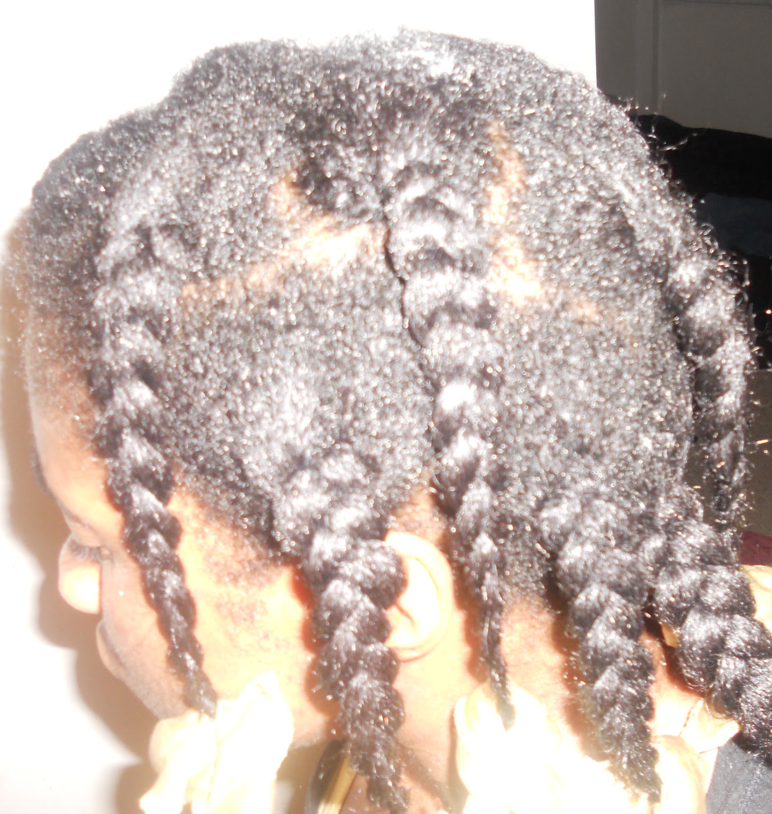 6FOOTLONGHAIR: Braid-Out