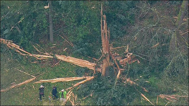 Cliff Mass Weather Blog: Exploding Trees and Lightning