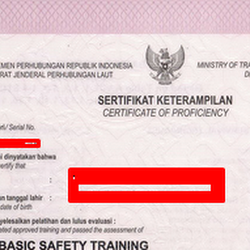 Lokasi Pembuatan Sertifikat BST Terbaru - IKAN DAN LAUT
