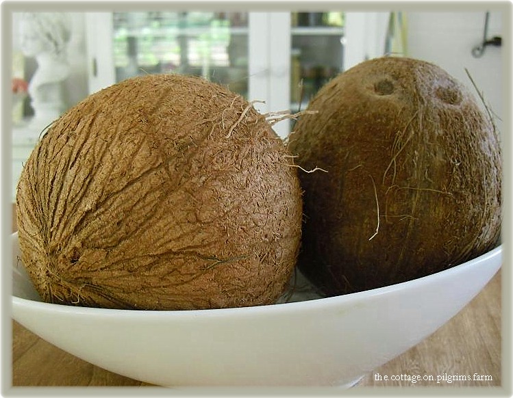 Cottage Life on Pilgrim's Farm: When Coconut Heads get Fresh...