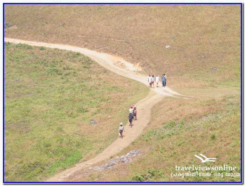 പ്രകൃതിയിലേക്ക് ഒരു യാത്ര (a travel towards NATURE): PULLUMEDU a unique ...