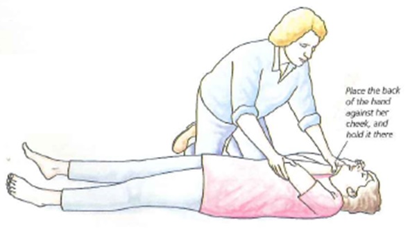 Health: The Recovery Position and Method