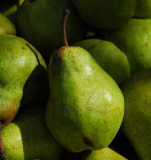 Dalinda Armut Resimleri ~ Resimler Diyarına Hoşgeldiniz