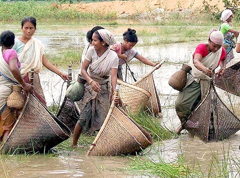 Cane Craft & Allied Industries : History of Bamboo and Cane Culture in ...