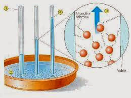 Ingeniería Civil: Capilaridad