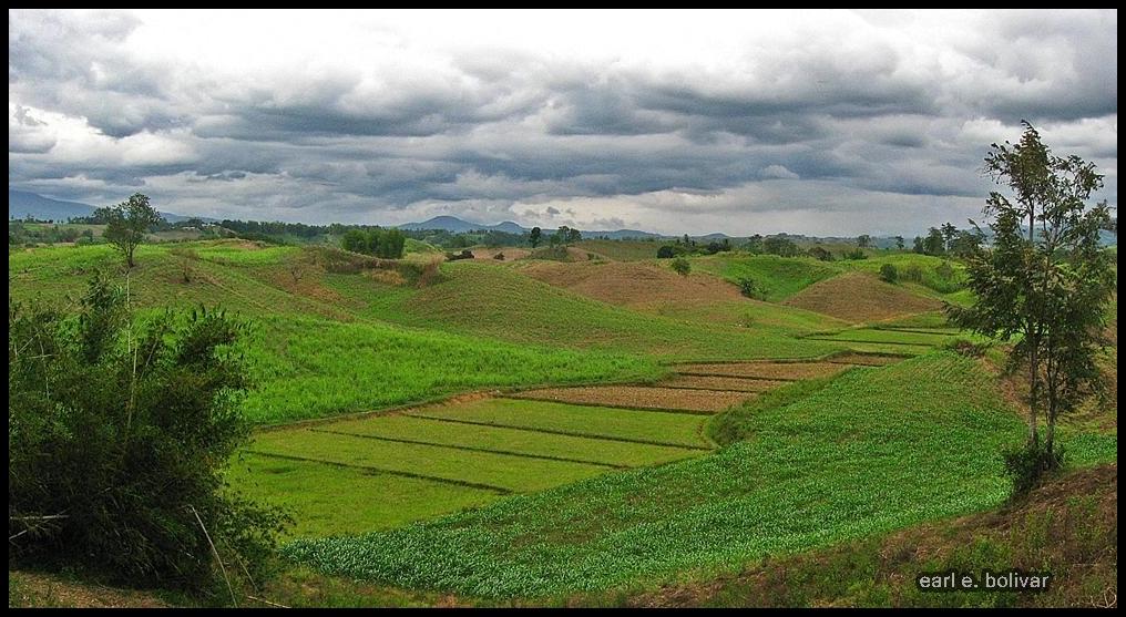Bukidnon Photo Journal: Random Shots: Barangay Lampanusan in Kalilangan ...