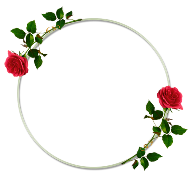 MARCOS PHOTOSCAPE: MARCOS FhotoScape, PHOTOSHOP Y GIMP MARCOS REDONDOS ...