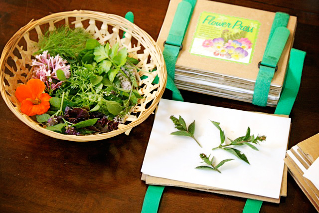 Mom in Madison: herb pressing.