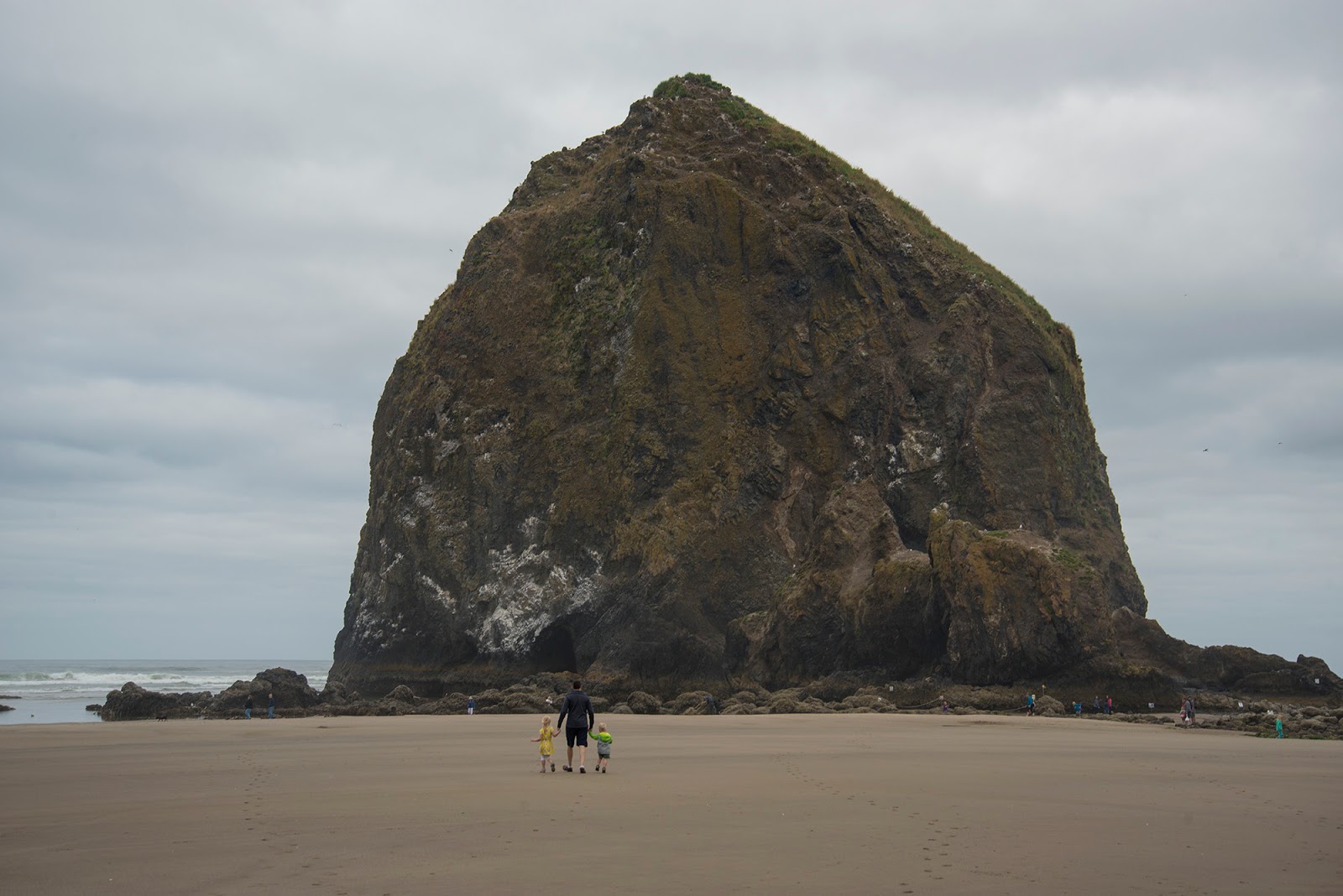 Oregon Coast Tide Pools at Hug Point and Cannon Beach - light-in-leaves