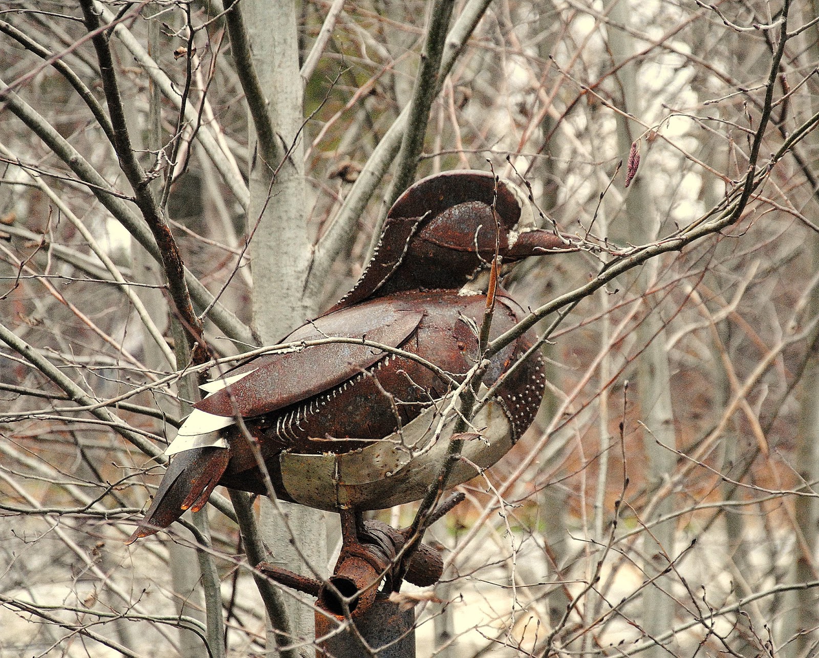BARRY the BIRDER: Bird Sculpture at new park