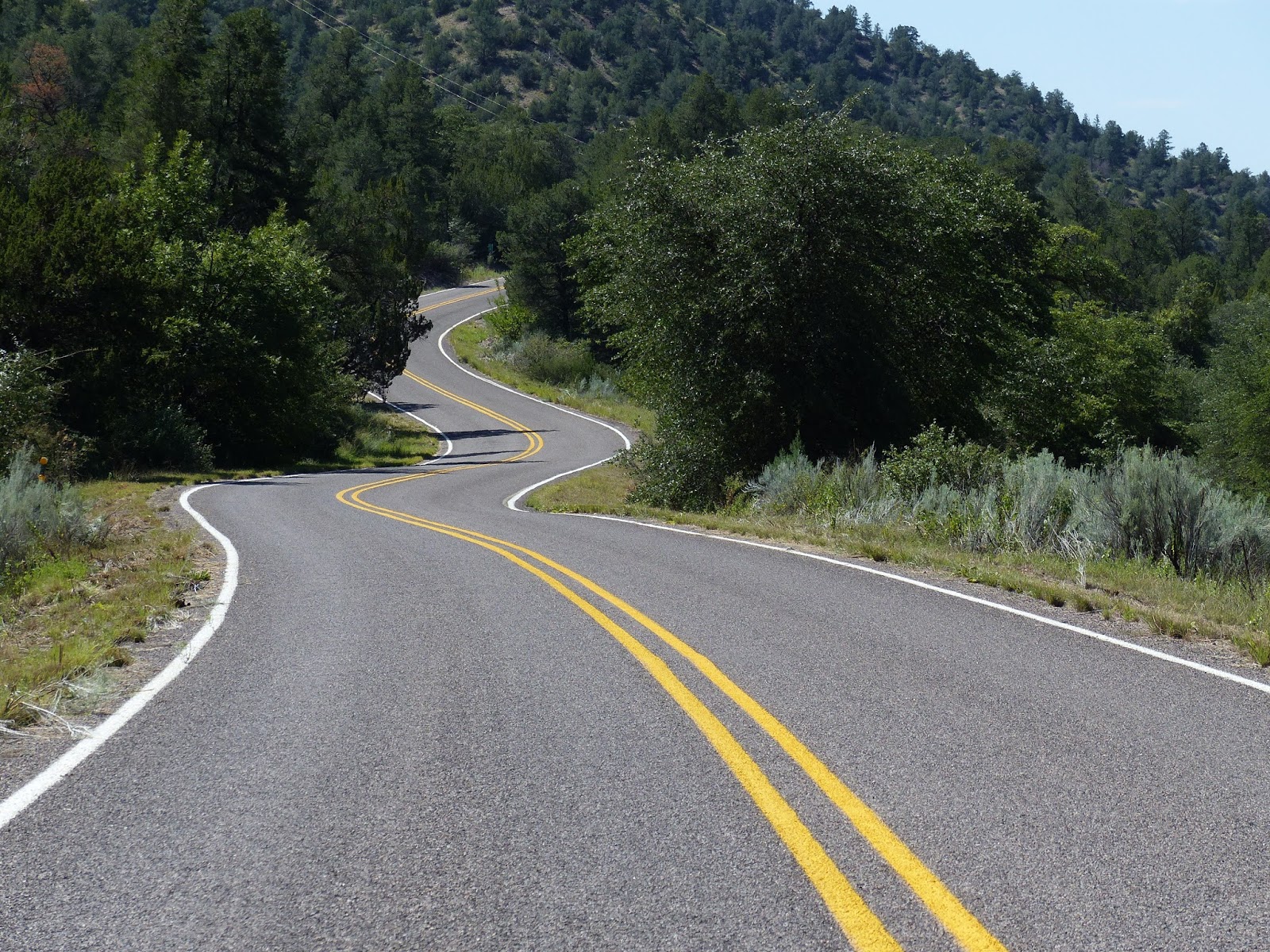 Land Cruising Adventure: Luna Lake Campground | Alpine | Arizona