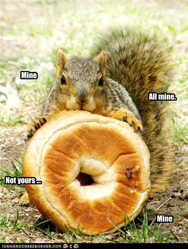 Thinking Pink: Top Five LOL Animals of the Day