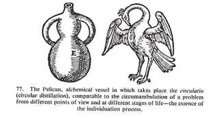 Artwork & Play: Diving Deep with Pelican; Animal Guides Woo Woo or True?