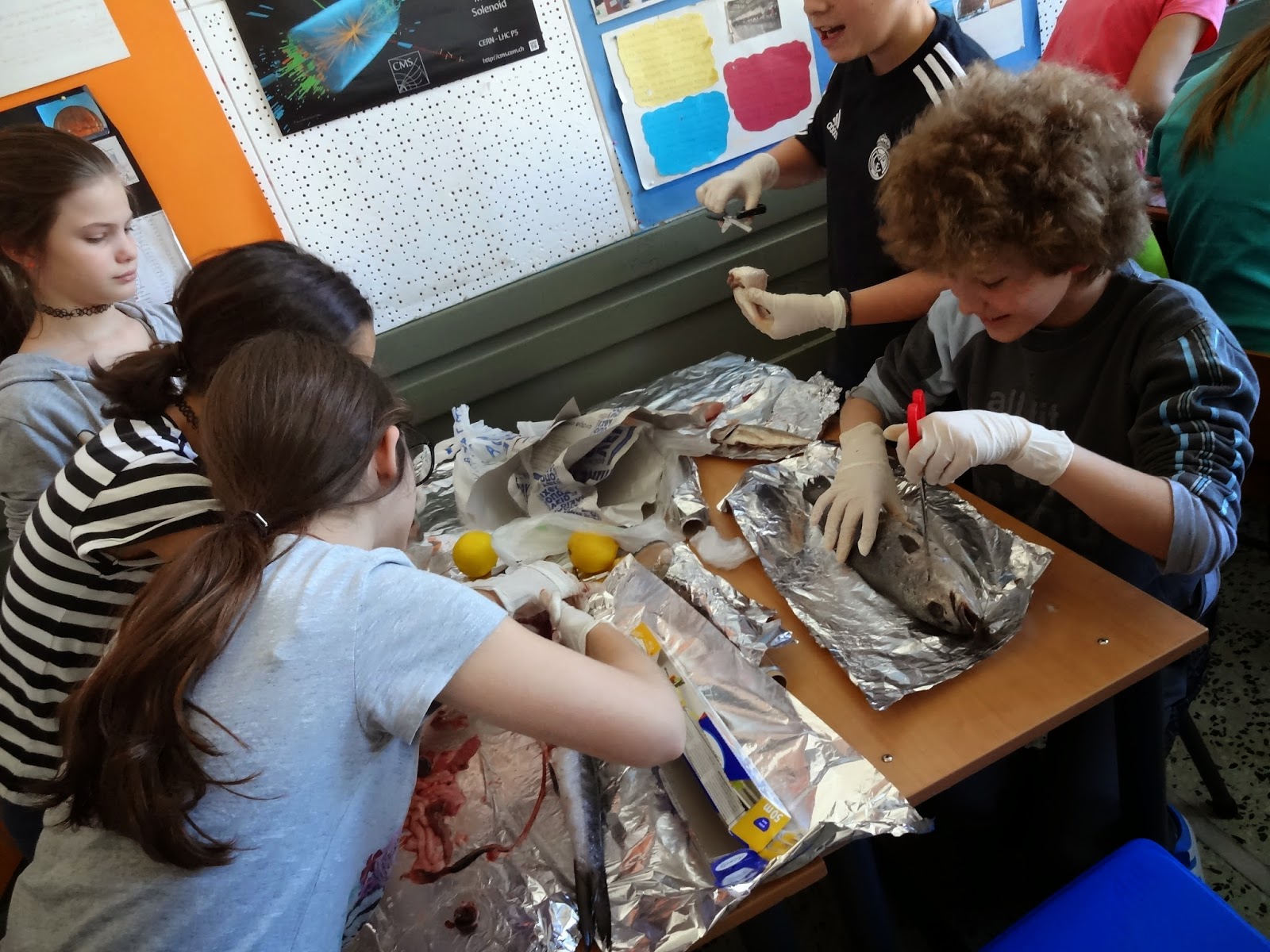 Πειράματα Φυσικής με Απλά Υλικά Science Experiments for Kids: Πείραμα ...