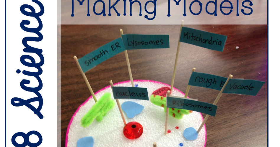 Grade 8 Animal Cell Models