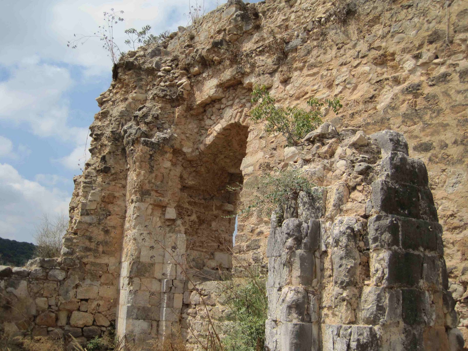 Yosef's Dream Tours: KNIGHT TO KING'S ROOK 8