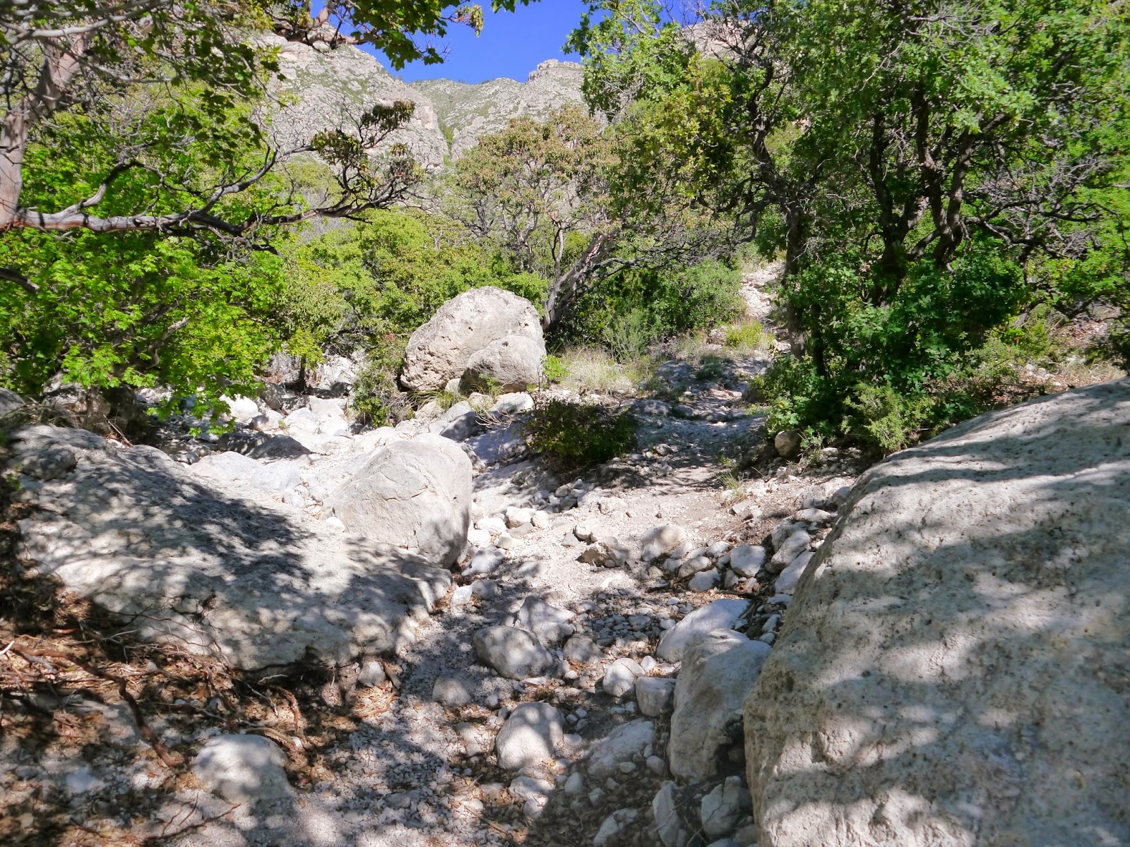 American Travel Journal: Smith Spring Loop Trail - Guadalupe Mountains ...