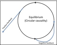 Velo-mobility in CPH: Chapter 3: Two Guiding Frameworks